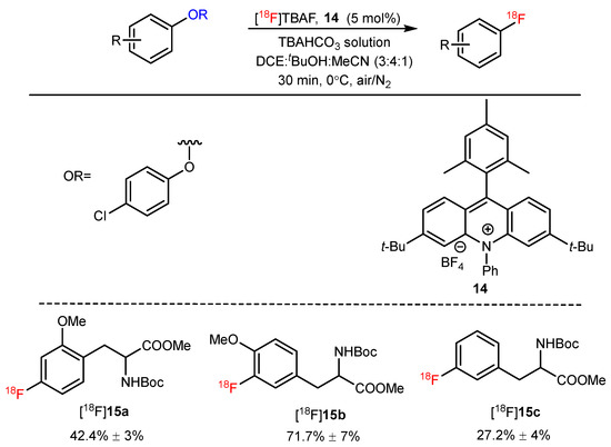 Recent Advances in 18F-Labeled Amino Acids Synthesis and Application
