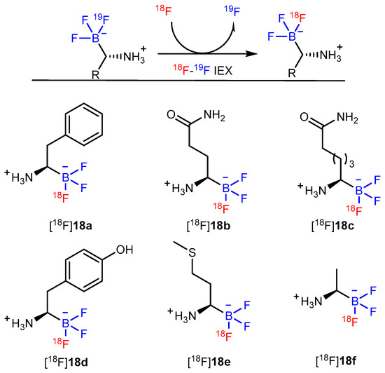 Recent Advances in 18F-Labeled Amino Acids Synthesis and Application