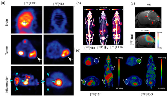 Recent Advances in 18F-Labeled Amino Acids Synthesis and Application