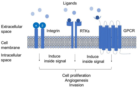 Cancer-Associated Membrane Protein as Targeted Therapy for Bladder Cancer