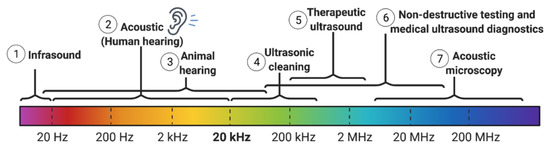 Harnessing Ultrasound for Targeting Drug Delivery to the Brain and ...