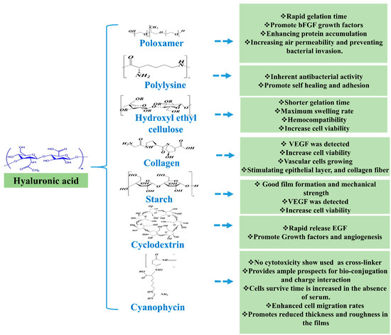 Recent Progress on Hyaluronan-Based Products for Wound Healing Applications