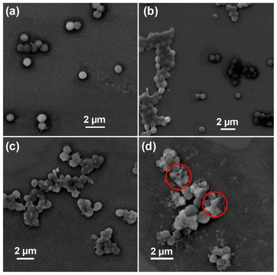 A Nanocomposite with Extracellular Vesicles from Lactobacillus ...