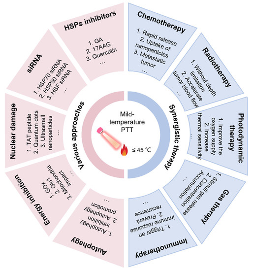 Enhancing the Efficiency of Mild-Temperature Photothermal Therapy for ...