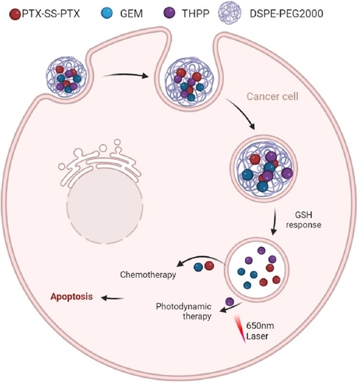 Pharmaceutics | Free Full-Text | Co-Delivery of Paclitaxel Prodrug ...