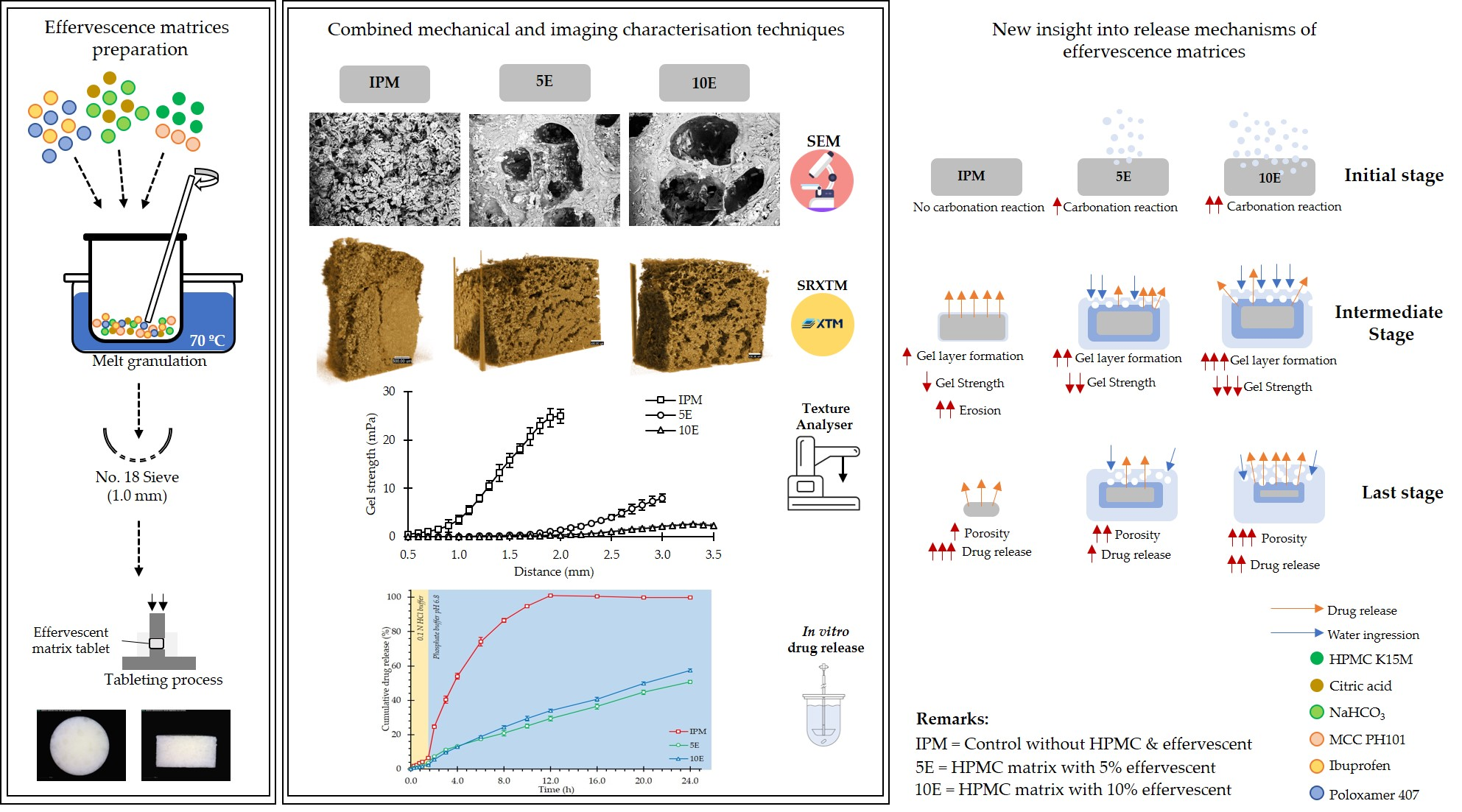 Pharmaceutics | Free Full-Text | New Insight into the Impact of ...
