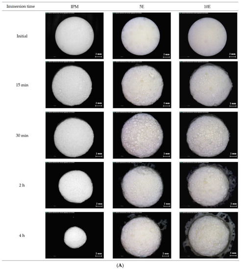 New Insight into the Impact of Effervescence on Gel Layer ...