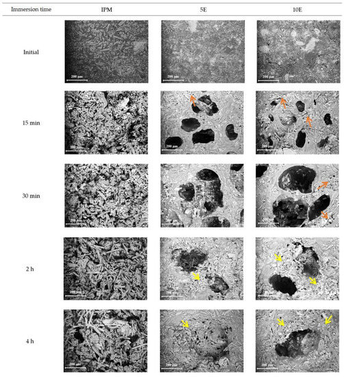 New Insight into the Impact of Effervescence on Gel Layer ...