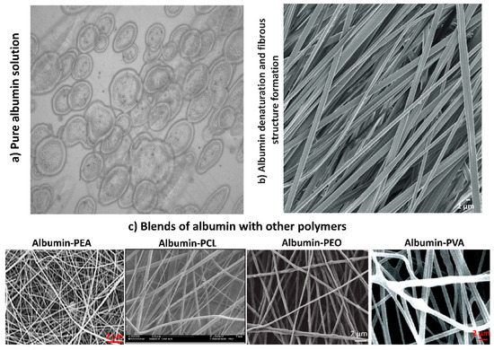 Films, Gels and Electrospun Fibers from Serum Albumin Globular Protein ...