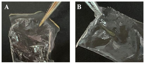 Scaffolds Based on Silk Fibroin with Decellularized Rat Liver Microparticles: Investigation of ...