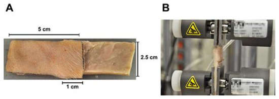 A Simple, Safe, and Effective Method for Preparing Autologous Bio-Based ...