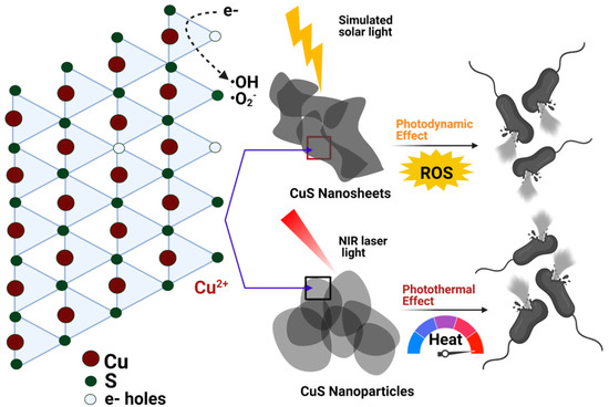 Photo-Stimuli-Responsive CuS Nanomaterials as Cutting-Edge Platform ...