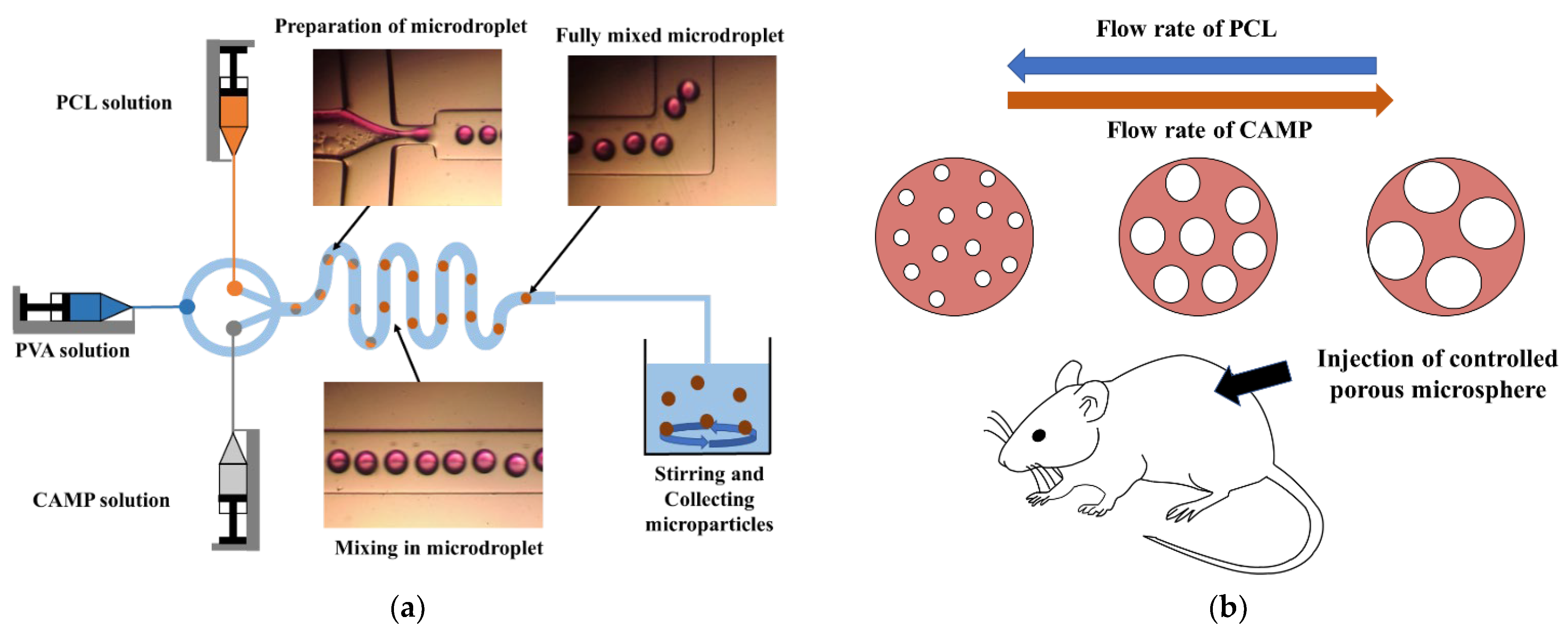 Development of In Situ Microfluidic System for Preparation of ...