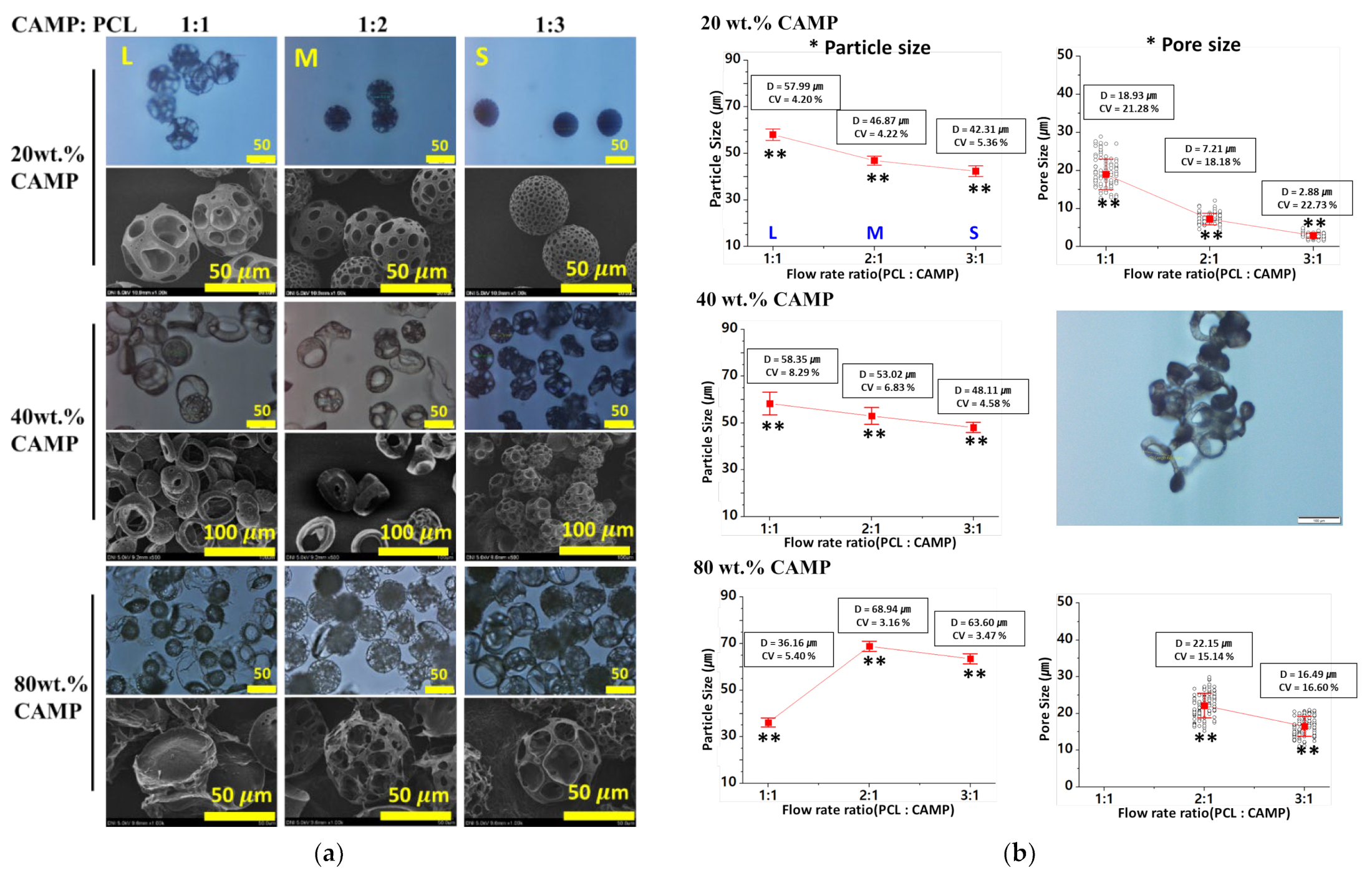 Development of In Situ Microfluidic System for Preparation of ...
