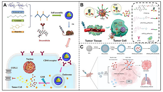 Tumor Microenvironment-Based Stimuli-Responsive Nanoparticles for ...