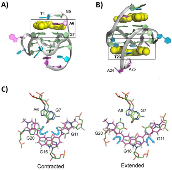 Insights into the Small Molecule Targeting of Biologically Relevant G ...