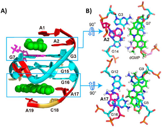 Insights into the Small Molecule Targeting of Biologically Relevant G ...