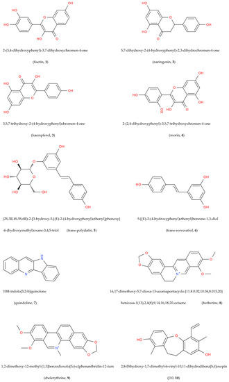 Exploring the Relationship between G-Quadruplex Nucleic Acids and ...