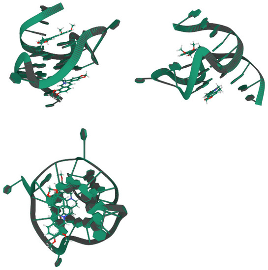 Exploring the Relationship between G-Quadruplex Nucleic Acids and ...