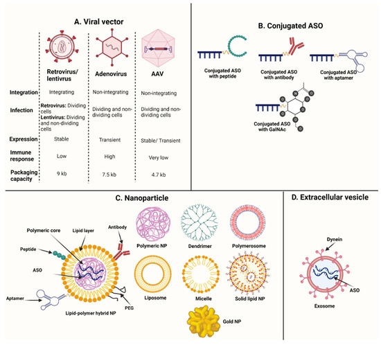 Antisense Oligonucleotide Therapy for the Nervous System: From Bench to ...