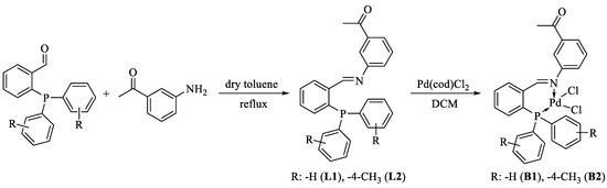 Pharmaceutics | Free Full-Text | DNA Binding and Anticancer Properties of New Pd(II)-Phosphorus ...