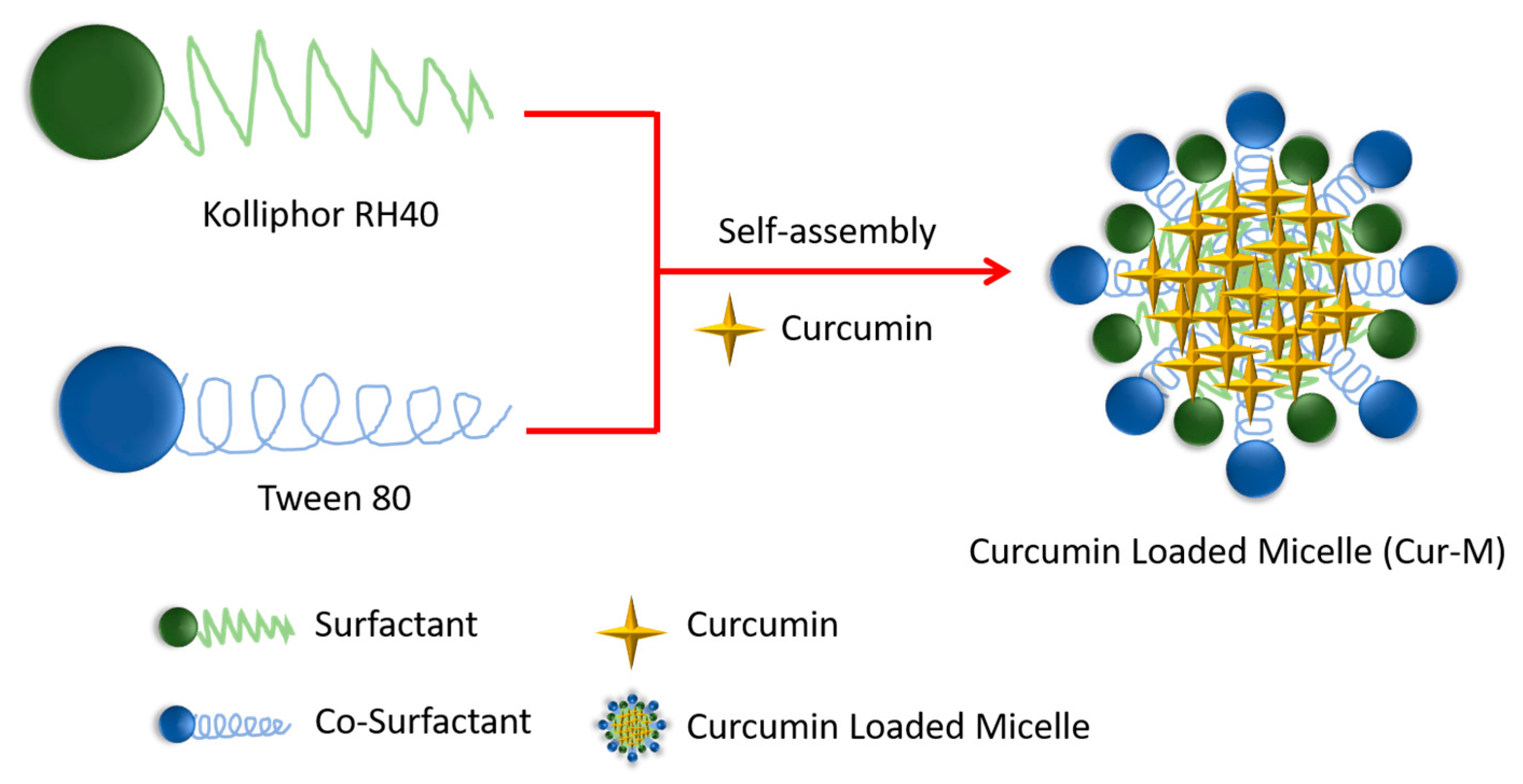Curcumin-Loaded Oil-Free Self-Assembled Micelles Inhibit the Influenza ...