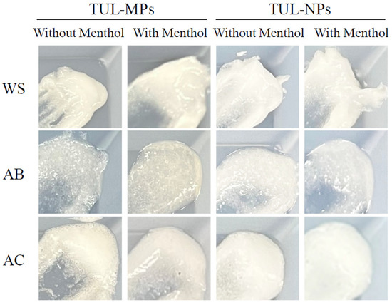 Design of a Transdermal Sustained Release Formulation Based on Water ...