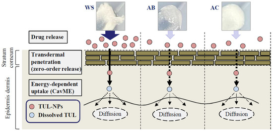 Design of a Transdermal Sustained Release Formulation Based on Water ...