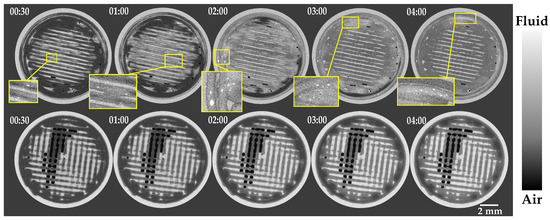 Development of Flow-Through Cell Dissolution Method for In Situ Visualization of Dissolution ...