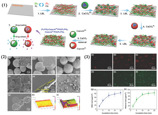 Surface Modification with Particles Coated or Made of Polymer Multilayers