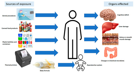 Determination of Metabolomics Profiling in BPA-Induced Impaired Metabolism