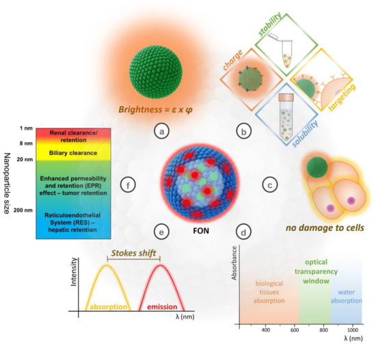 Fluorescent Multifunctional Organic Nanoparticles for Drug Delivery and ...