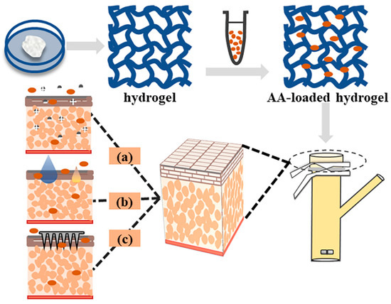 Probing Pharmaceutical Strategies to Promote the Skin Delivery of ...