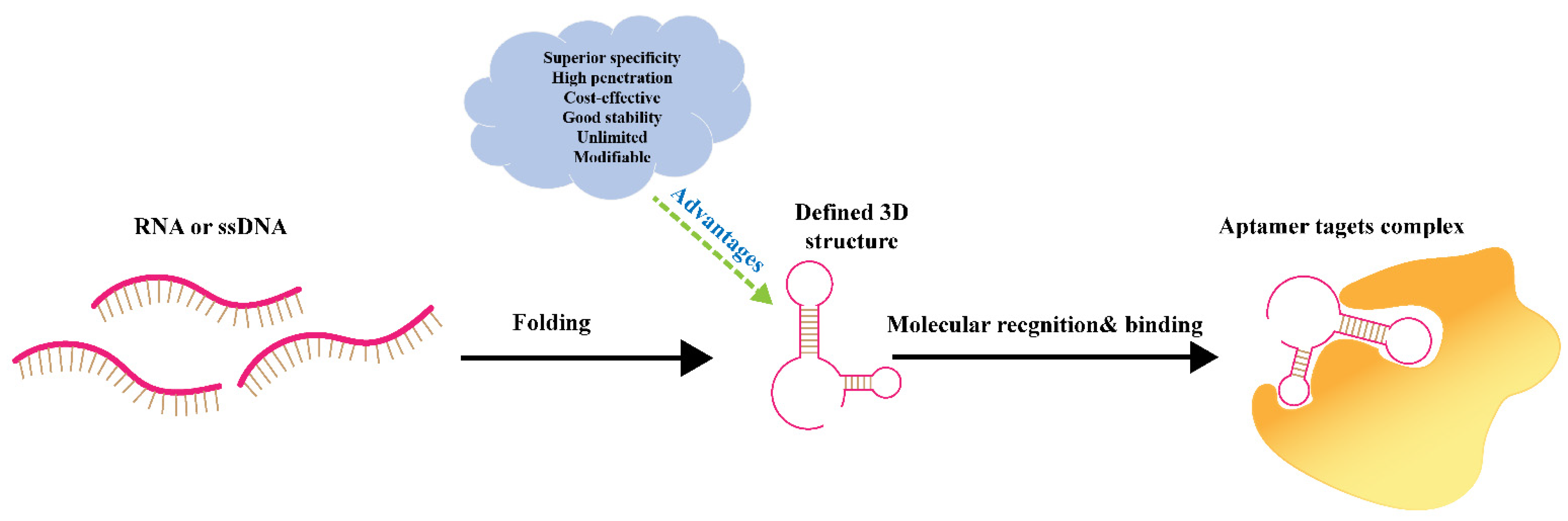 Aptamers as Smart Ligands for Targeted Drug Delivery in Cancer Therapy