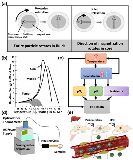 Iron-Based Ceramic Composite Nanomaterials for Magnetic Fluid ...