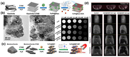 Iron-Based Ceramic Composite Nanomaterials for Magnetic Fluid ...