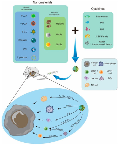 Cytokine Therapy Combined with Nanomaterials Participates in Cancer ...