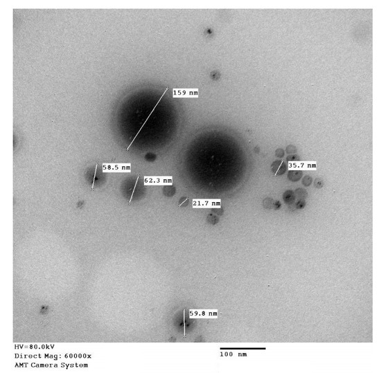 Spanlastics as a Potential Platform for Enhancing the Brain Delivery of ...