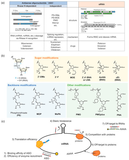 Chemistry of Therapeutic Oligonucleotides That Drives Interactions with Biomolecules