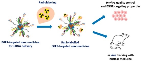 Pharmaceutics | Free Full-Text | Radiolabeling, Quality Control and In ...