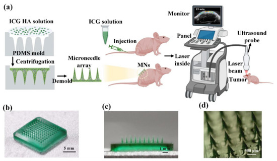 Pharmaceutics | Free Full-Text | Small Animal In Situ Drug Delivery ...