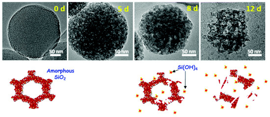 Pharmaceutics | Free Full-Text | Key Parameters for the Rational Design, Synthesis, and ...