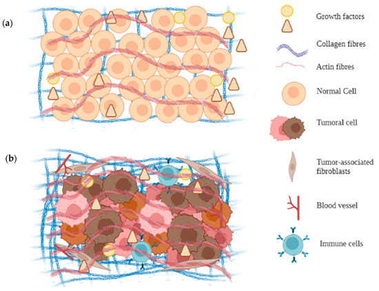 Advances in Tumor Organoids for the Evaluation of Drugs: A ...