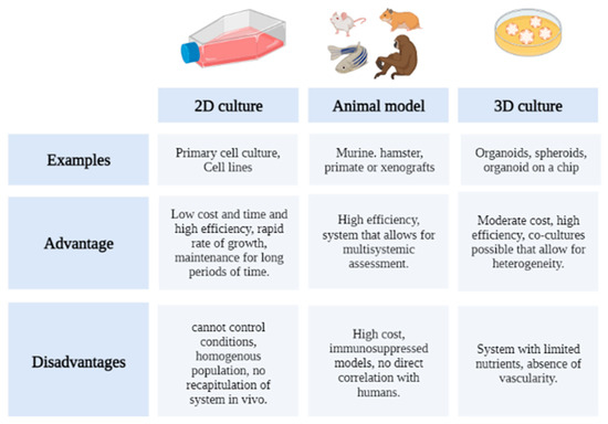 Advances in Tumor Organoids for the Evaluation of Drugs: A ...