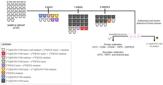 Potential of [11C](R)-PK11195 PET Imaging for Evaluating Tumor ...