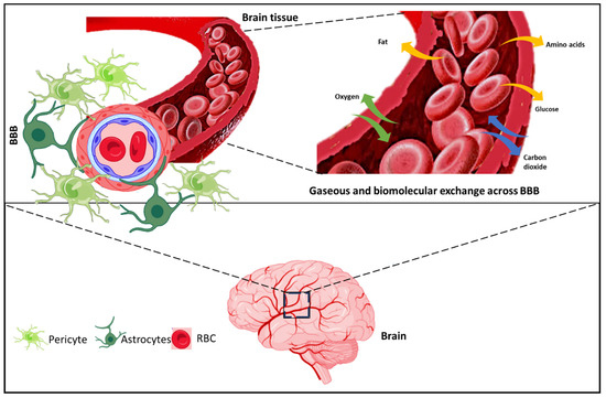 Current Update on Transcellular Brain Drug Delivery