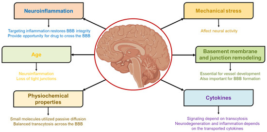 Current Update on Transcellular Brain Drug Delivery