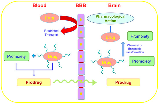Current Update on Transcellular Brain Drug Delivery