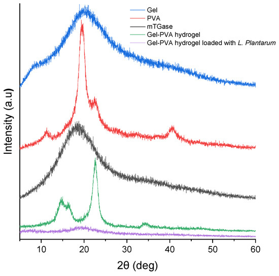 Enzymatic Crosslinked Hydrogels of Gelatin and Poly (Vinyl Alcohol ...