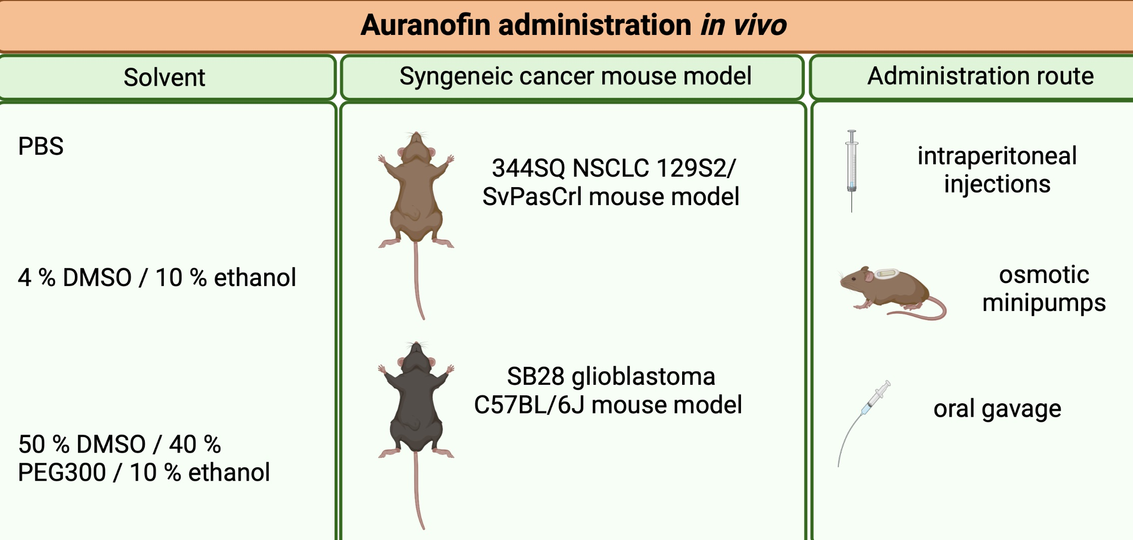 Pharmaceutics | Free Full-Text | Optimization of the Solvent and In ...
